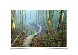 Creative Writing Resources for KS2/KS3 | Teaching Resources