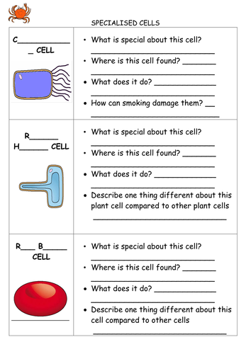 NEW AQA KS4 - Cells and microbiology unit - lower ability | Teaching ...