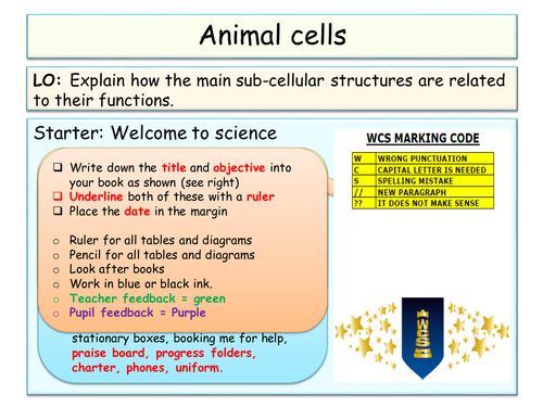 NEW AQA KS4 - Cells and microbiology unit - lower ability | Teaching ...