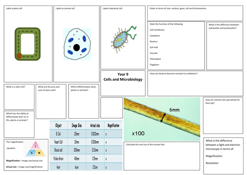 NEW AQA KS4 - Cells and microbiology unit - lower ability | Teaching ...