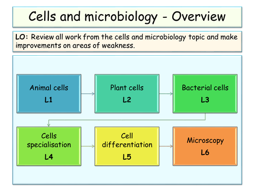 NEW AQA KS4 - Cells and microbiology unit - lower ability | Teaching ...