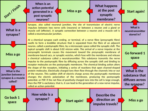 A Level Biology: Synapses Lesson & Activities | Teaching Resources