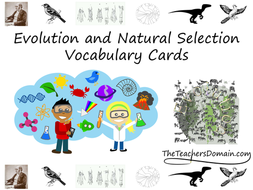 Evolution and Natural Selection Vocabulary Cards | Teaching Resources