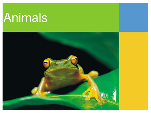 Classification of Animals Presentation | Teaching Resources