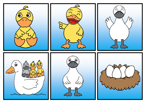 UGLY DUCKLING TEACHING RESOURCES NURSERY RHYME LITERACY NUMERACY ROLE ...