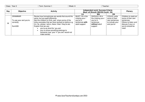 Using Your and You're Lesson Plan and Worksheet | Teaching Resources