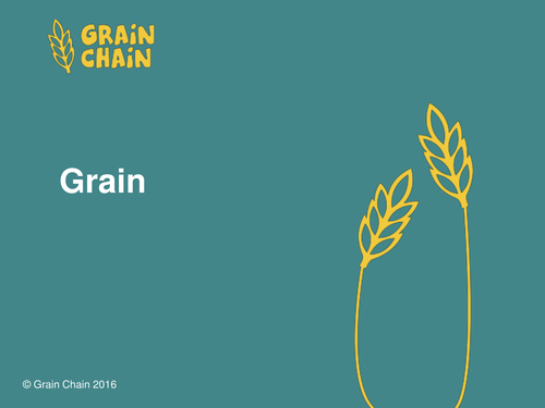 How is grain healthy? Lesson plan | Teaching Resources