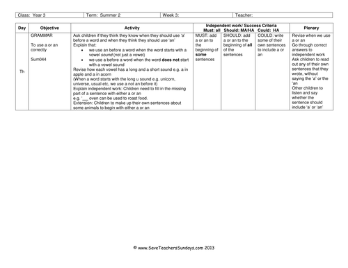 Using A or An Correctly Lesson Plan and Worksheet | Teaching Resources