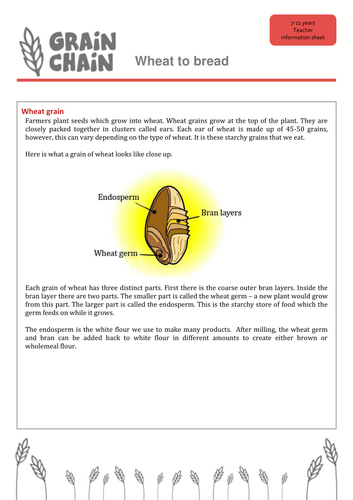 What happens in the wheat growing year? Lesson plan | Teaching Resources