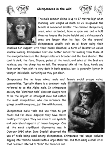 The Great Apes resources | Teaching Resources