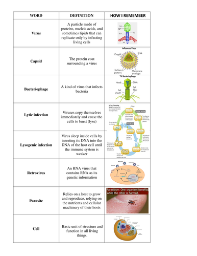 Virus and Cell Vocabulary | Teaching Resources