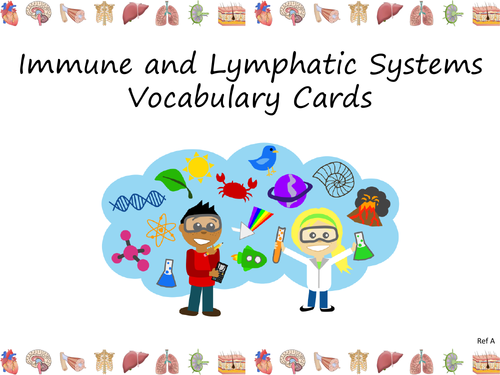 Human Body Word Wall Vocabulary Cards Part 1: Circulatory, Respiratory ...