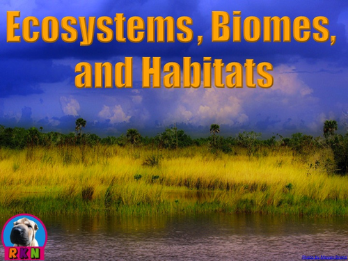 Animal Bundle (Classifying, Endangered, Nonfiction book, Invent Animal ...