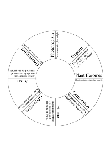 AQA Plant Hormones Key Words Puzzle | Teaching Resources