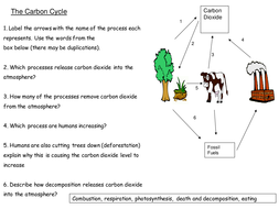 Carbon cycle and green house effect activities | Teaching Resources