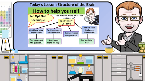 A Level Biology The Structure & Function of the Brain Lesson | Teaching ...