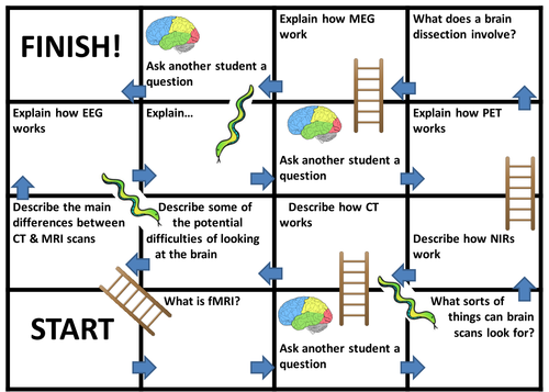 A Level Biology The Structure & Function of the Brain Lesson | Teaching ...