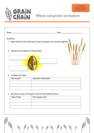 Wheat and grain processing: Lesson plan | Teaching Resources