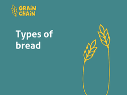 The science of bread baking: Lesson plan and classroom experiments ...