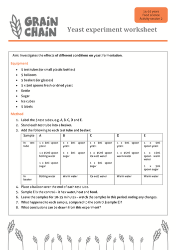 The science of bread baking: Lesson plan and classroom experiments ...
