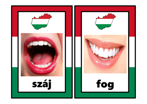 HUNGARIAN LANGUAGE TEACHING RESOURCES display posters flashcards ...
