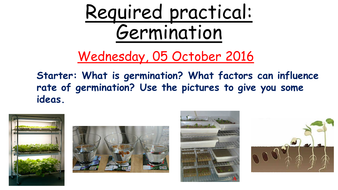 Required Practical Germination- AQA new GCSE Biology- 1-9 | Teaching ...