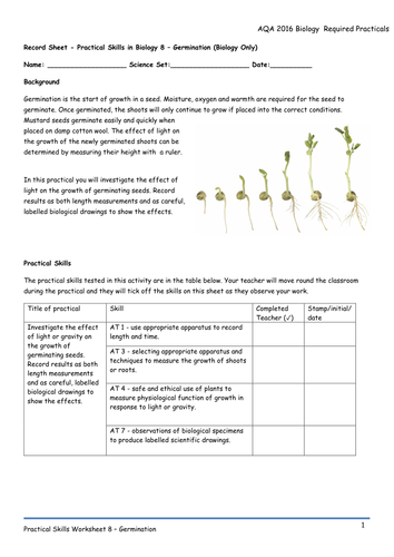 Required Practical Germination- AQA new GCSE Biology- 1-9 | Teaching ...