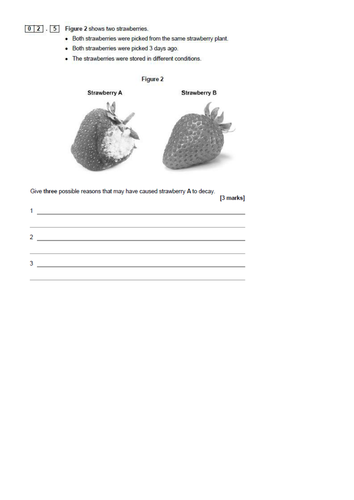 Required practical- Decay- New AQA Biology GCSE- 1-9 | Teaching Resources