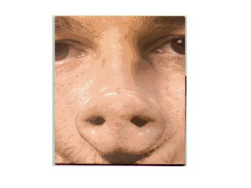 Pig Heart Boy Malorie Blackman Differentiated resources | Teaching ...