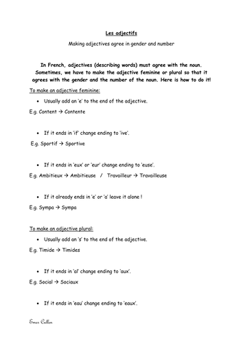 Les adjectifs/Adjectives | Teaching Resources