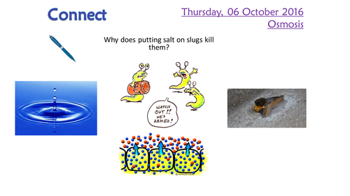 KS4 AQA New 2016 Osmosis in plant and animal cells | Teaching Resources