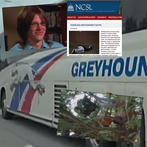 MANIAC MAGEE Homeless Youths Nonfiction | Teaching Resources