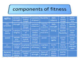 GCSE PE: Components of Fitness - Bundle Pack | Teaching Resources