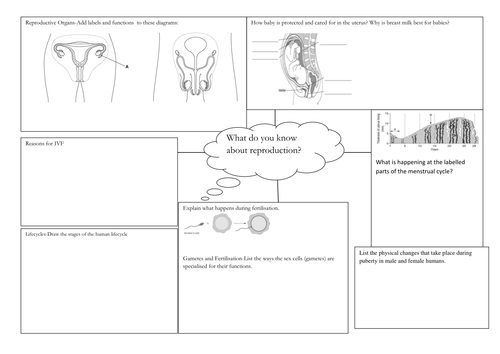 Animal Reproduction Summary | Teaching Resources