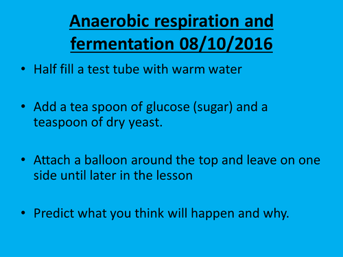 What Is Fermentation Ks3