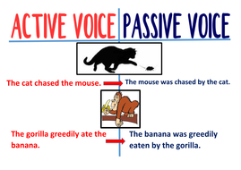 SPAG displays | Teaching Resources