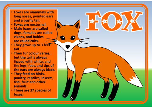 PERCY THE PARK KEEPER STORY TEACHING RESOURCES EYFS KS1 ENGLISH AUTUMN ...