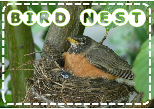 PERCY THE PARK KEEPER STORY TEACHING RESOURCES EYFS KS1 ENGLISH AUTUMN ...