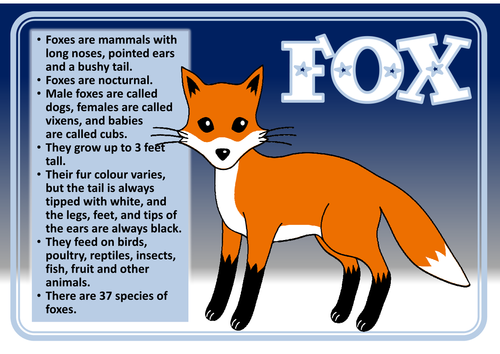 ONE SNOWY NIGHT STORY TEACHING RESOURCES EYFS KS1 PERCY PARK KEEPER ...