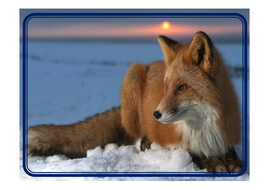 ONE SNOWY NIGHT STORY TEACHING RESOURCES EYFS KS1 PERCY PARK KEEPER ...