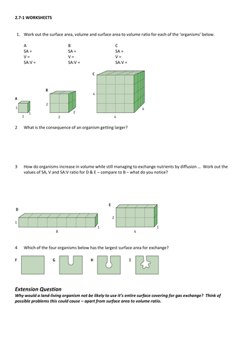 KS4 AQA new 2016 B1 Cell structure and transport L10 Exchange surfaces ...