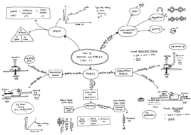 Mind Maps for all of Year 8 Science | Teaching Resources