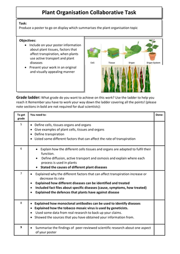 New AQA Plant organisation Collaborative poster task | Teaching Resources