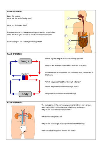 Organ systems | Teaching Resources