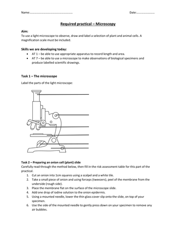 NEW GCSE 2016 - Required practical - Microscopy | Teaching Resources