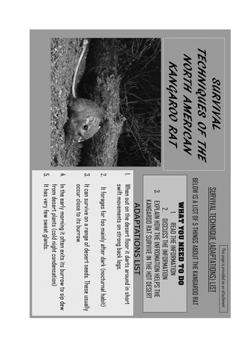 KANGAROO RAT - A RODENT SURVIVOR IN THE HOT NORTH AMERICAN DESERT ...