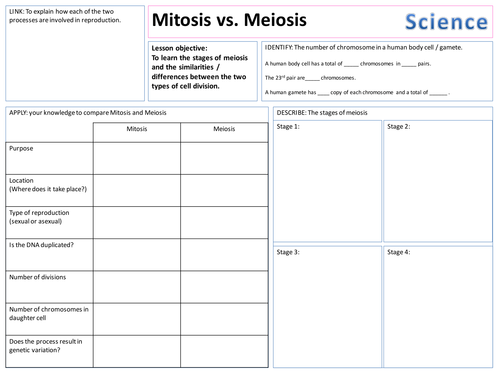 Mitosis vs. Meiosis Presentation and Lesson Map | Teaching Resources