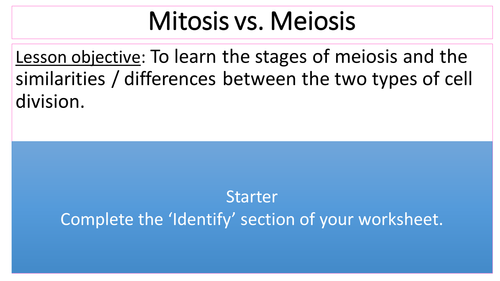 Mitosis vs. Meiosis Presentation and Lesson Map | Teaching Resources