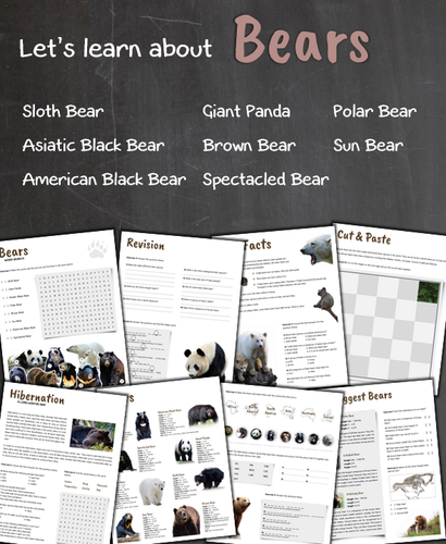 Bears | Teaching Resources