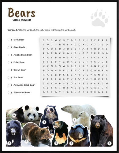 Bears | Teaching Resources